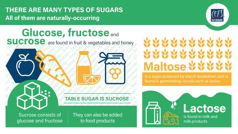 What are the different types of sugar and where are they found? - CEFS